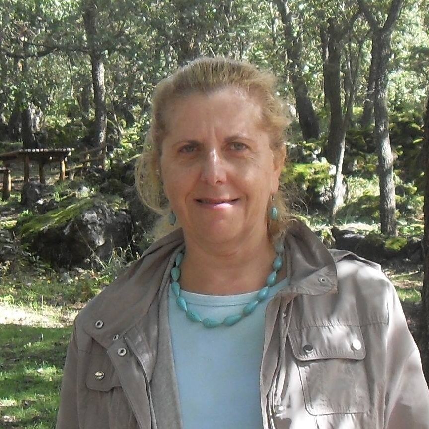 Il Pietrisco - Editorial Board